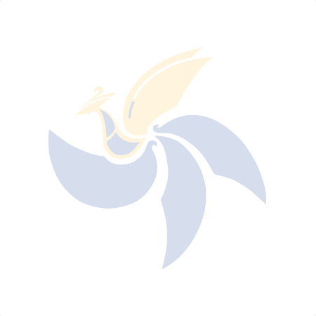 中国 ∙ 贝赛思国际学校 | | BASIS INTERNATIONAL SCHOOLS ∙ CHINA